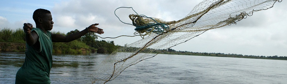 Programmes and projects | FAO in Sudan | Food and Agriculture ...
