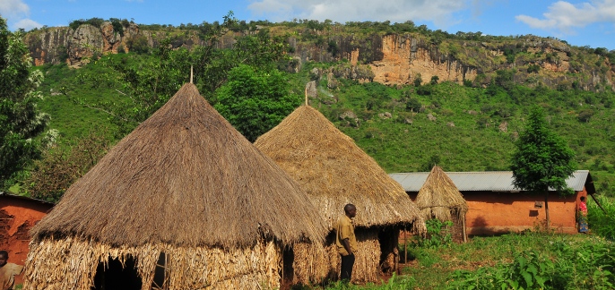 Sub Saharan Africa Landscape