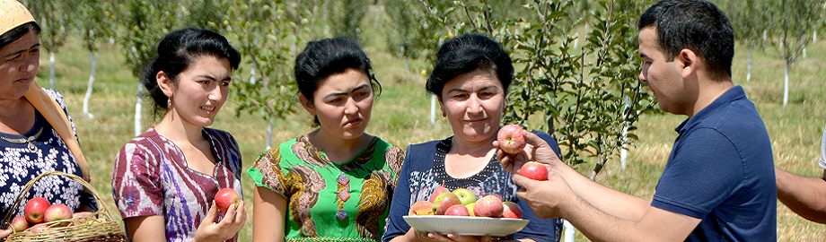 Capacity Development | Social Protection | Food and Agriculture ...