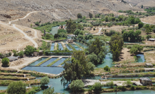 General Fisheries Commission for the Mediterranean - GFCM | Food and ...