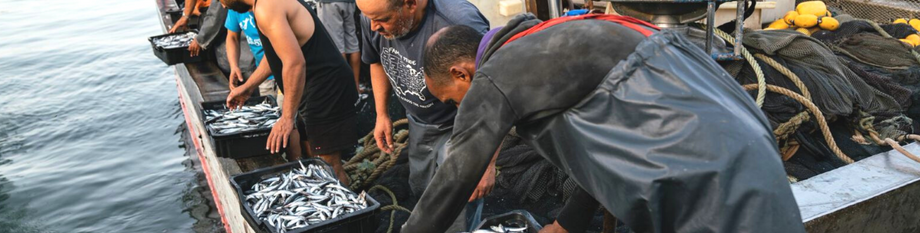 Fishing fleet and capture fisheries production | General Fisheries ...