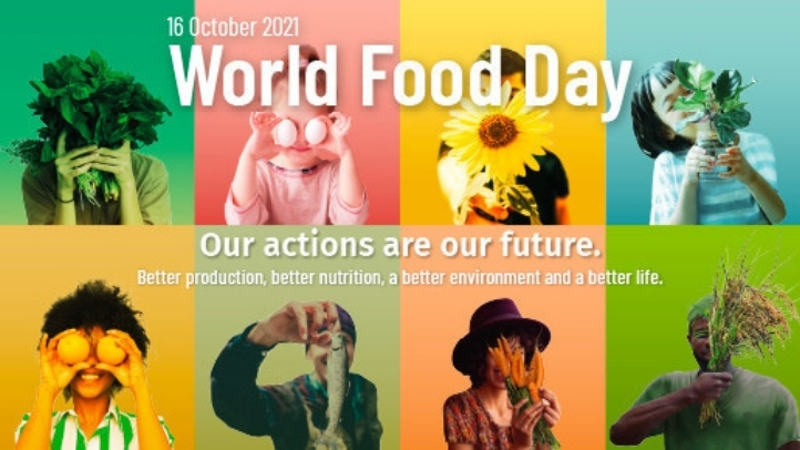 Themes | Food and Agriculture Organization of the United Nations