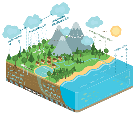 Overview Forest And Water Programme Food And Agriculture Overview Forest And Water Programme Food And Agriculture