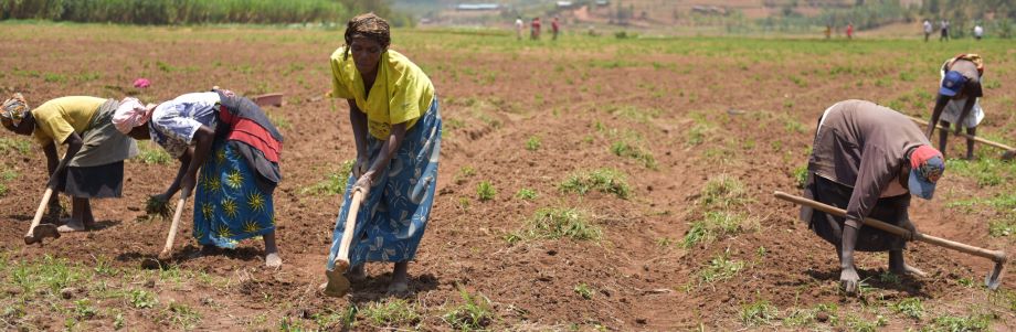 Zambia | MOSAICC | 联合国粮食及 农业组织