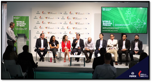 Commisión sobre Certificaciones | Foro Mundial Bananero | Organización ...