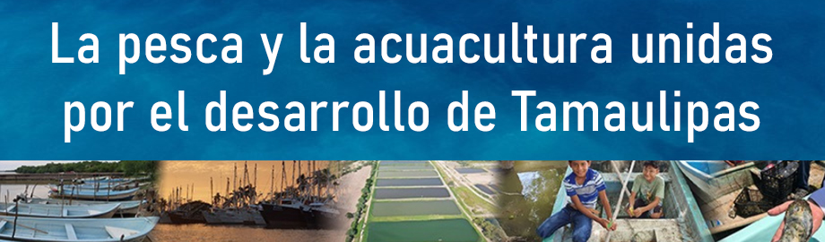 Organización de las Naciones Unidas para la Alimentación y la ...