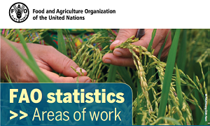 Statistical Domains | FAO | Food and Agriculture Organization of the ...