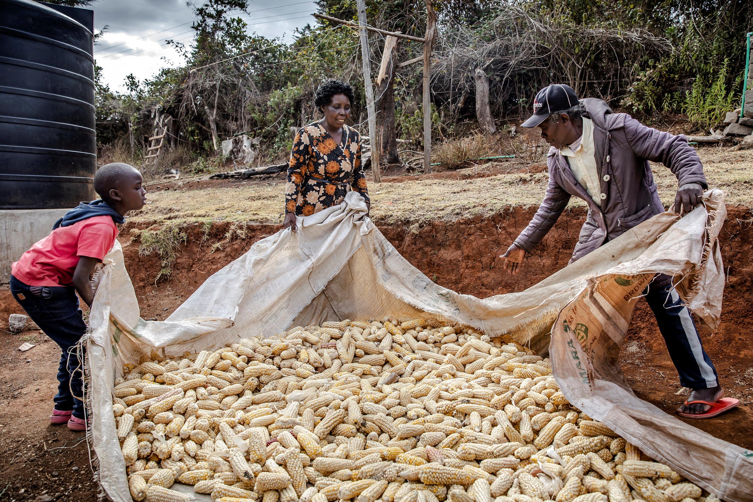 Highlights archive | FAO | Food and Agriculture Organization of the ...