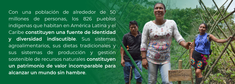 Water efficiency, productivity and sustainability in the NENA regions ...