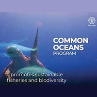 Common Oceans - A partnership for sustainability and biodiversity in ...