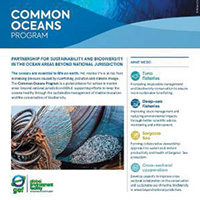 Common Oceans - A partnership for sustainability and biodiversity in ...