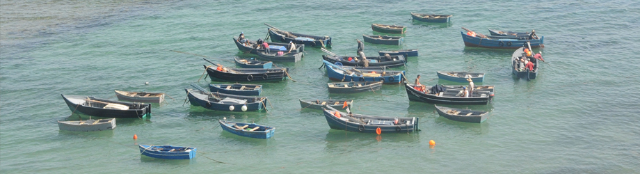 Fisheries & Aquaculture | Integrating Agriculture in National ...