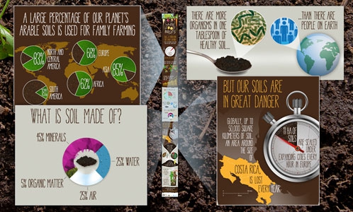 FAO SOILS PORTAL | FAO | Food and Agriculture Organization of the ...