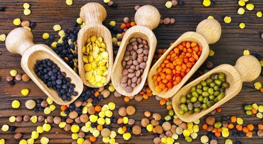 FAO Regional Office for Latin America and the Caribbean | Food and ...