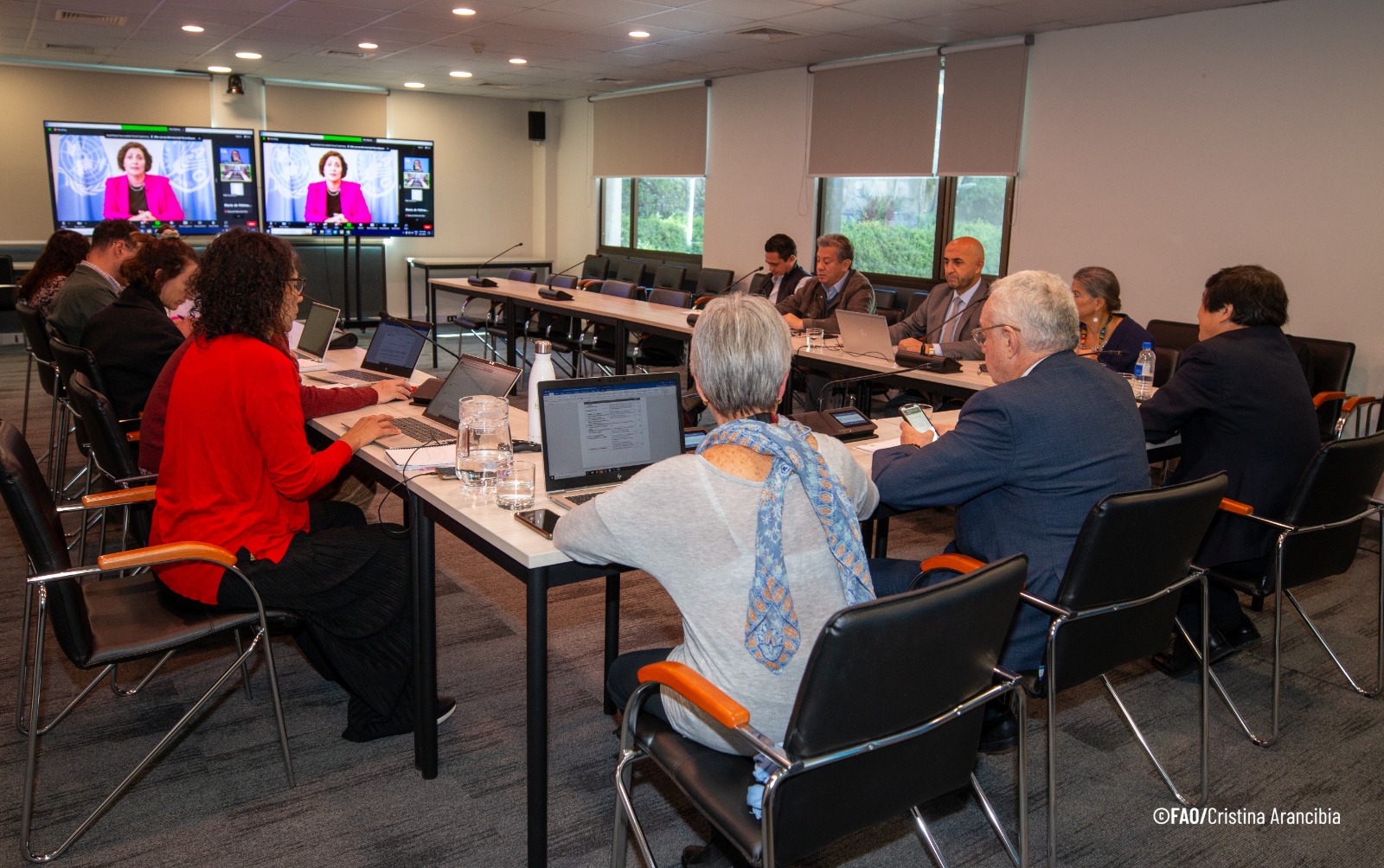 FAO Regional Office for Latin America and the Caribbean | Food and ...