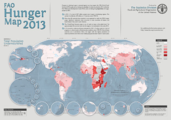 The State of Food Insecurity in the World 2015 | FAO | Food and ...