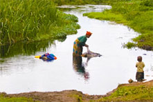 Water scarcity - the role of agriculture | Land & Water | Food and ...