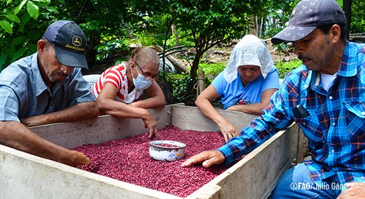 Oficina Regional de la FAO para América Latina y el Caribe ...