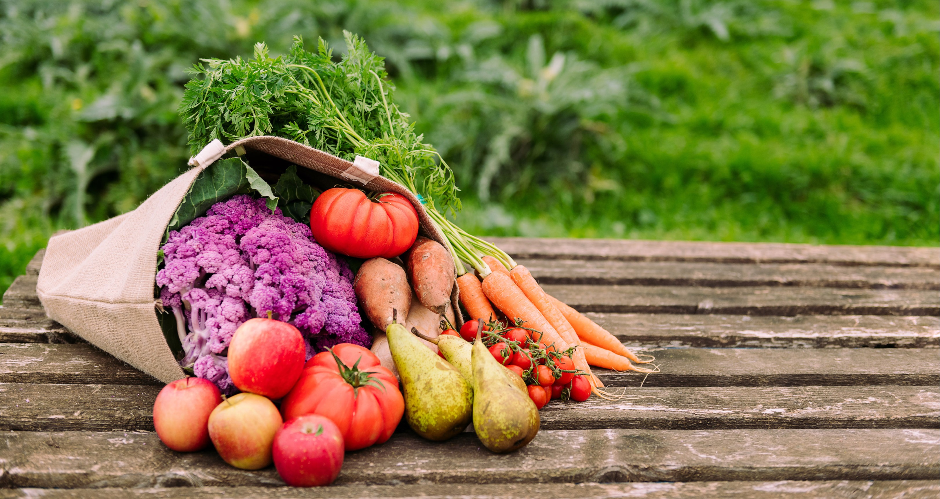 重要文档 | FAO | 联合国粮食及 农业组织