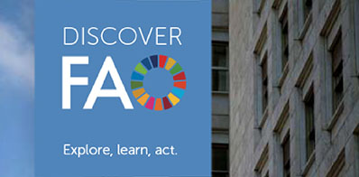 Bienvenidos a la FAO | Organización de las Naciones Unidas para la ...