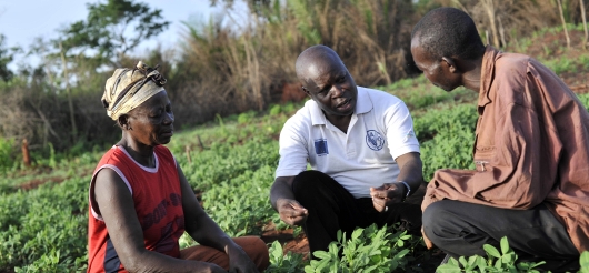 Quiénes somos | FAO | Organización de las Naciones Unidas para la ...