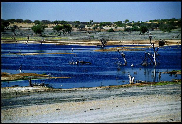 Plant Production and Protection Division: Photogallery