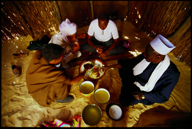 Plant Production and Protection Division: Photogallery