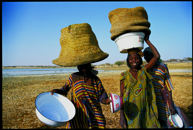 Plant Production and Protection Division: Photogallery