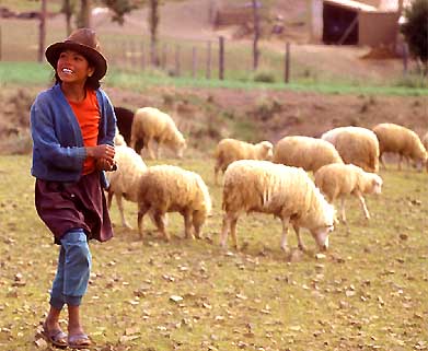 Education for Rural People: Photo Gallery